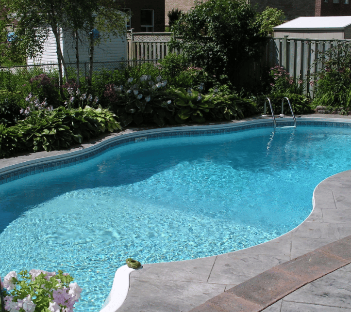 Know The Distinct Classifications Of Swimming Pools - WpePro